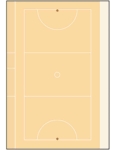 World Netball