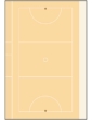 World Netball