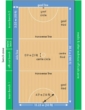 World Netball